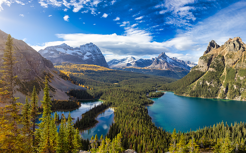 Exploring the Wonders of Yoho National Park: A Must-Visit Gem